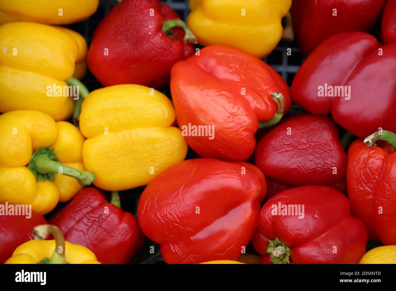 'Sunset Peppers' This photos was taken at a local farmers market ...