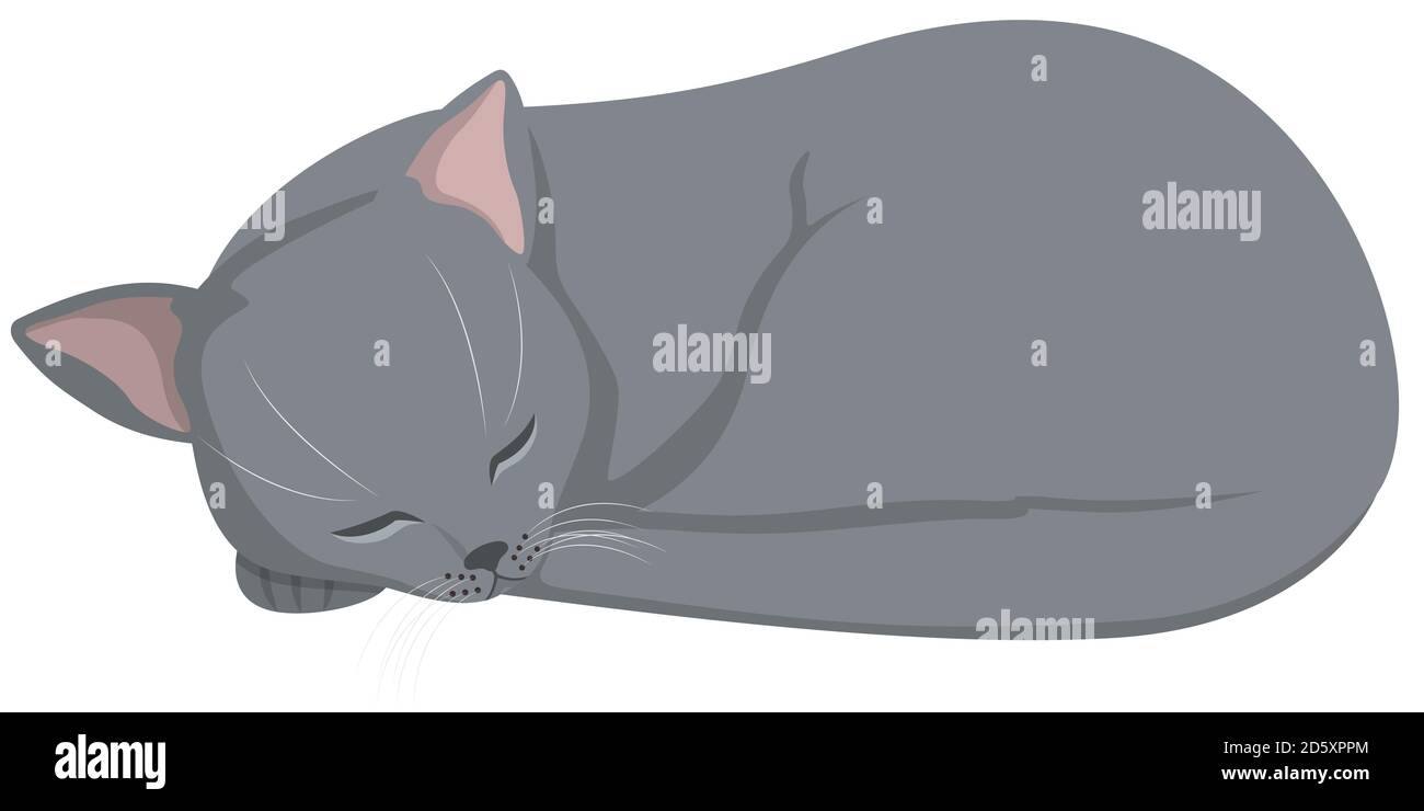 Cartoon sleeping cat hi-res stock photography and images - Alamy