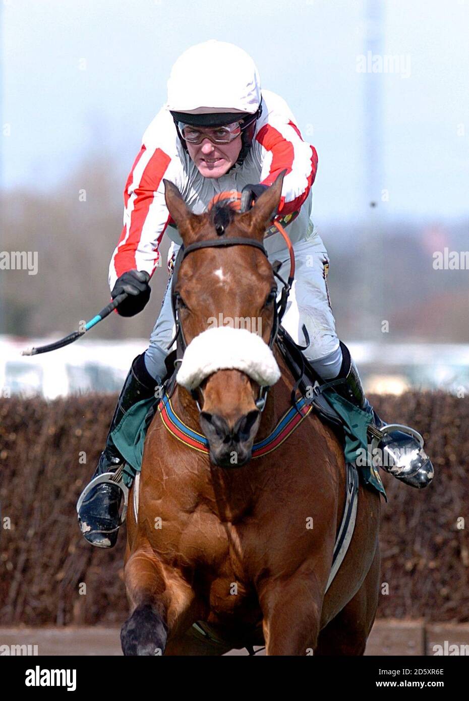 Hi Cloy ridden by Andrew McNamara in The John Smith's Melling Steeple ...