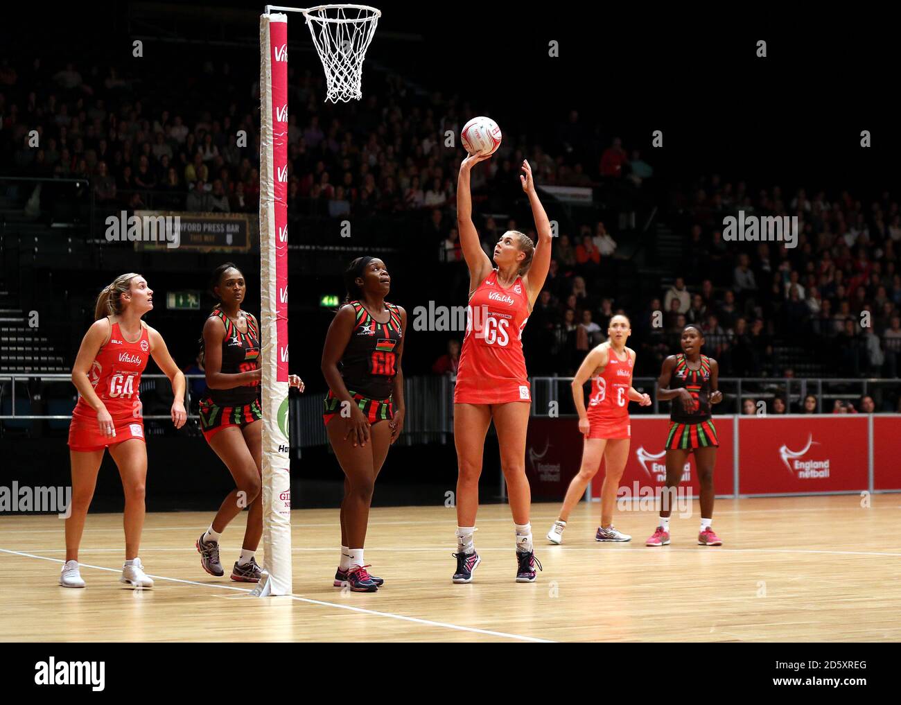 Eleanor Cardwell, England Roses Stock Photo - Alamy