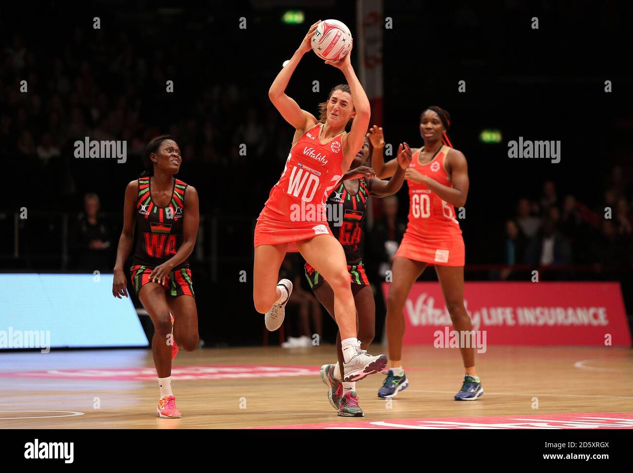 Beth Cobden, England Roses Stock Photo - Alamy