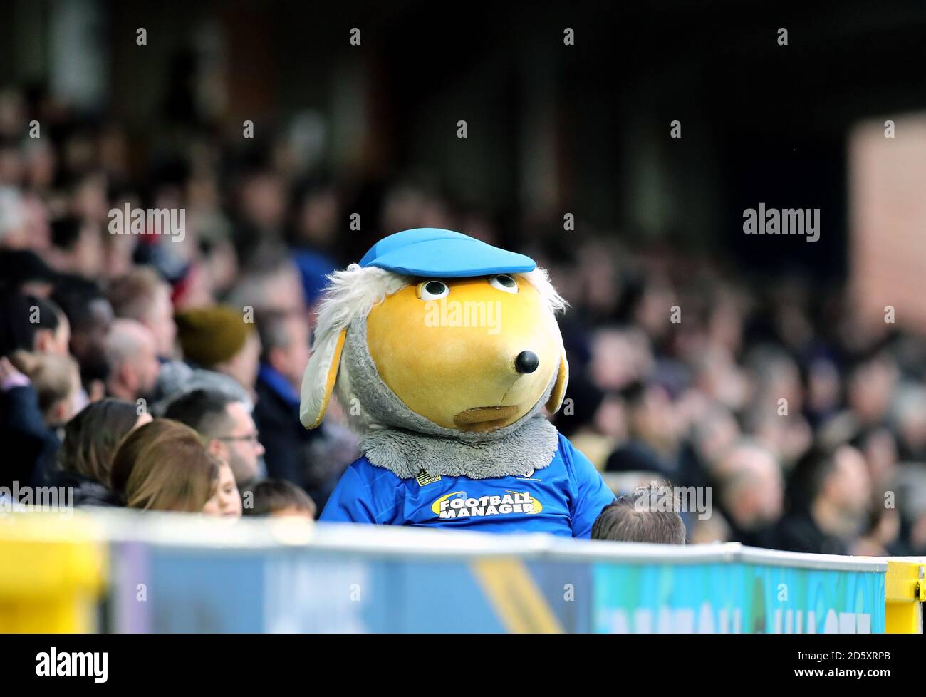 Haydon the womble hi-res stock photography and images - Alamy