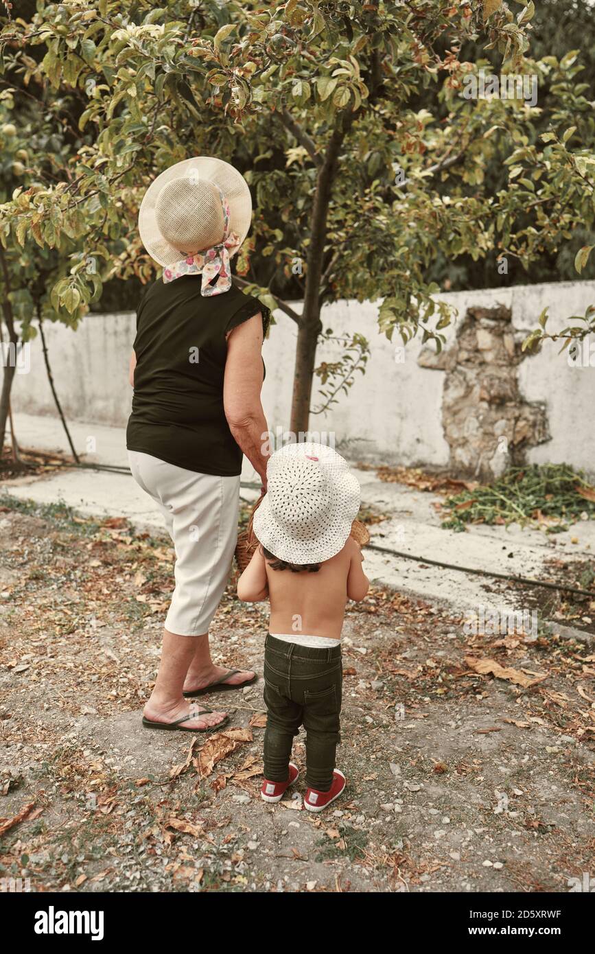 A grandmother and her granddaughter picking fruit in the garden ...