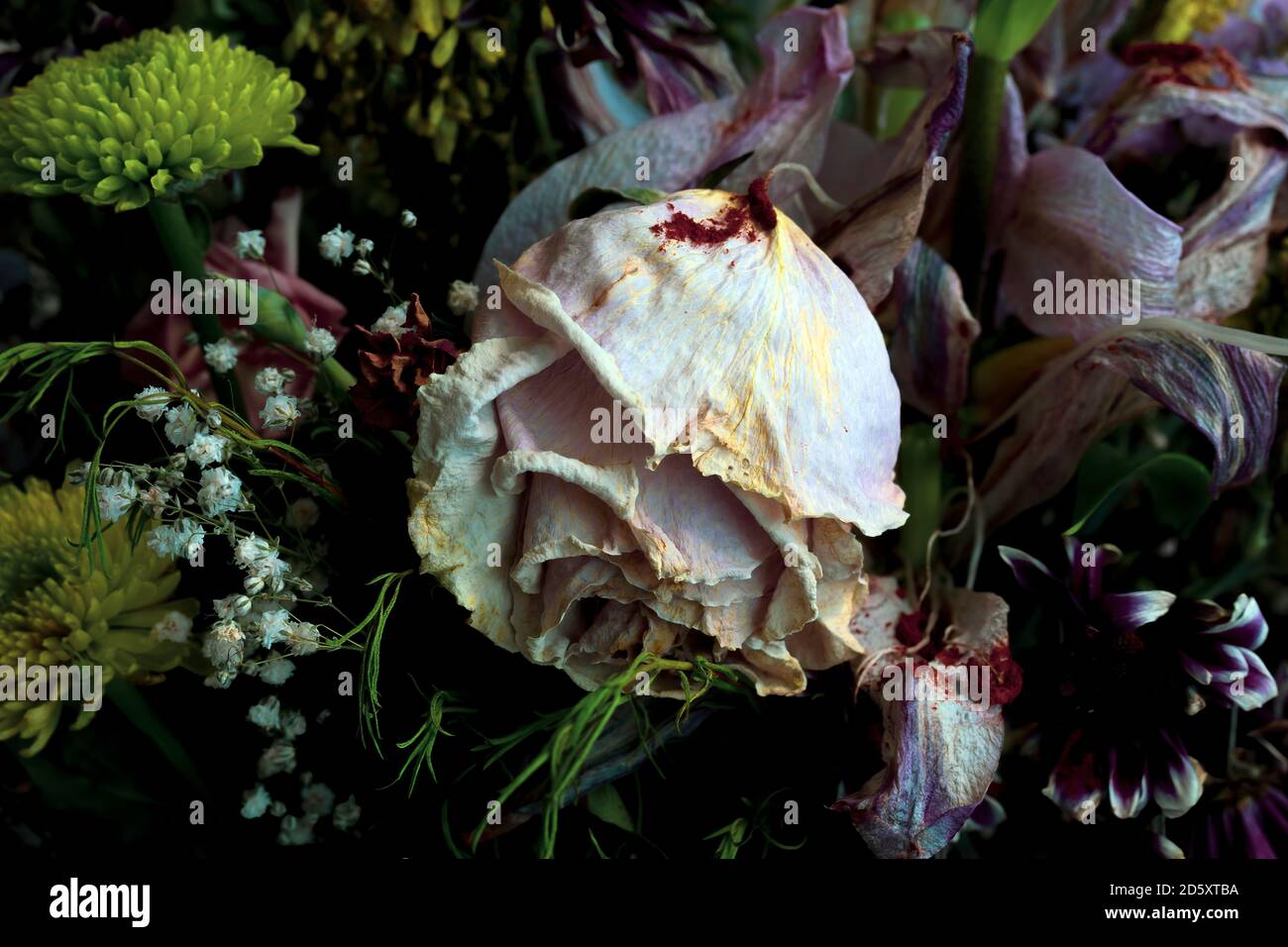 Bouquet of withered flowers Stock Photo - Alamy
