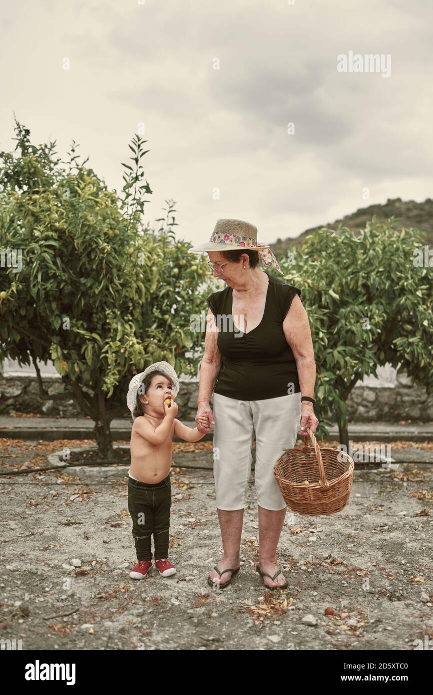 A grandmother and her granddaughter picking fruit in the garden ...