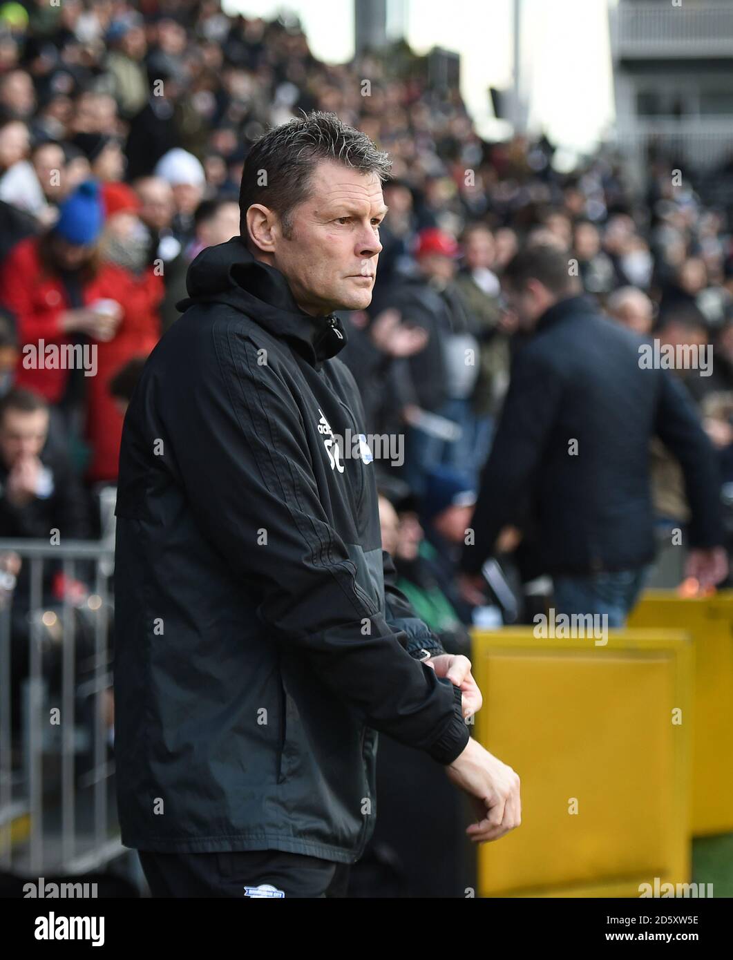 Birmingham City manager Steve Cotterill Stock Photo - Alamy