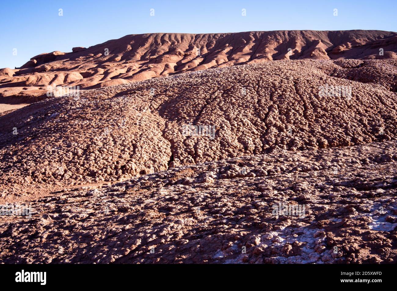 The red landscape in the Puna Salteña, red arid desert Stock Photo - Alamy