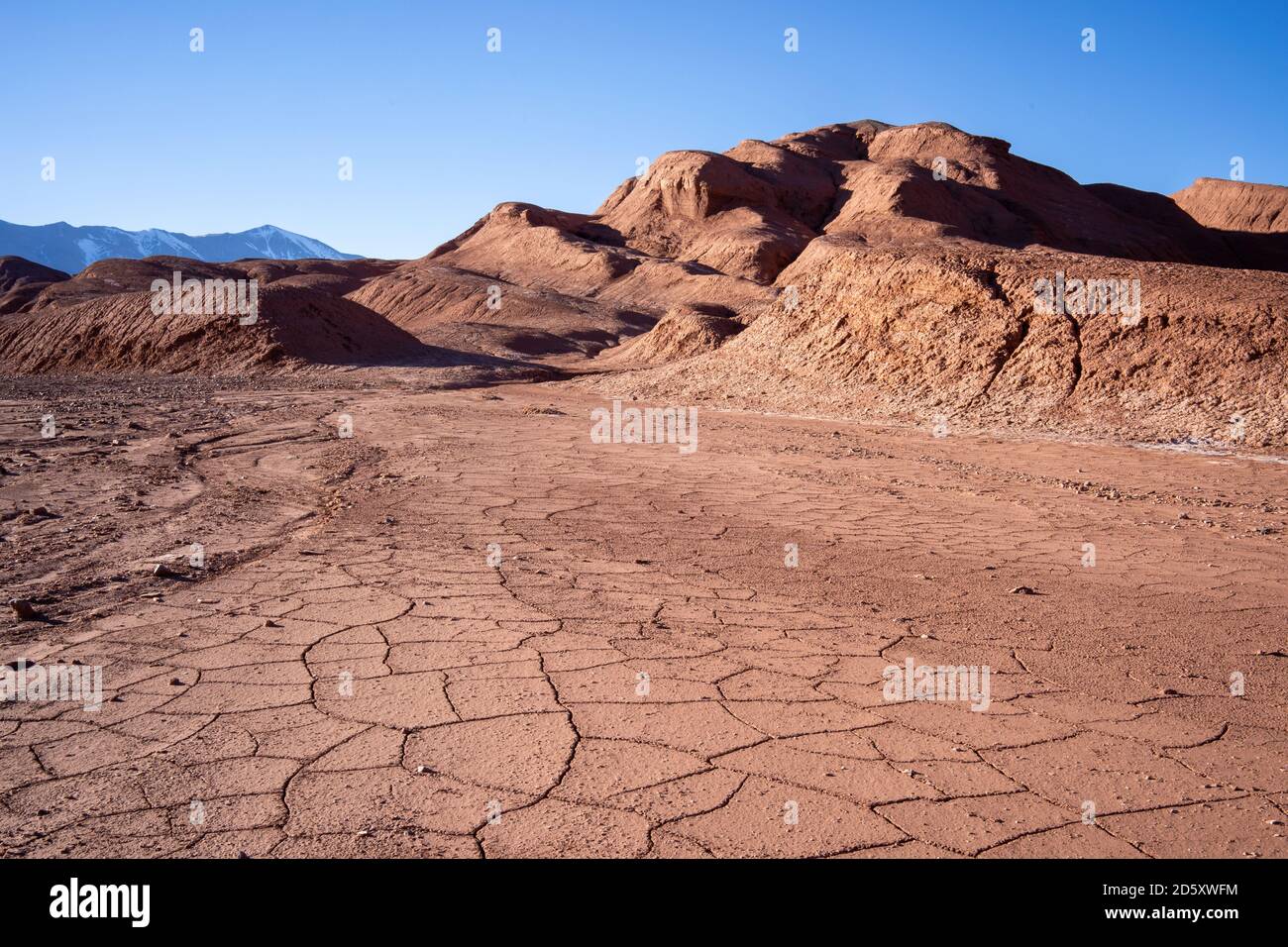 The red landscape in the Puna Salteña, red arid desert Stock Photo - Alamy