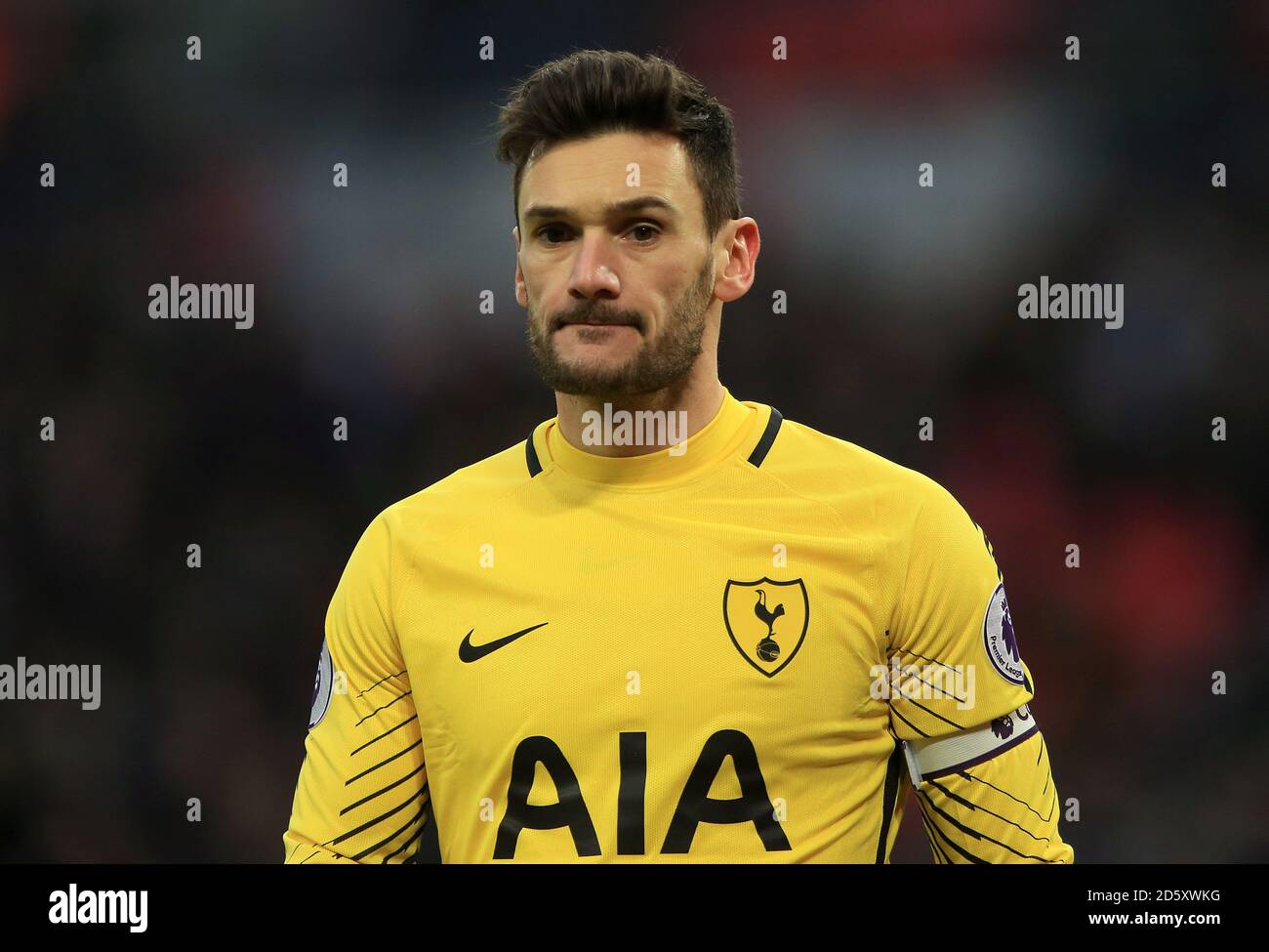 Tottenham Hotspur goalkeeper Hugo Lloris Stock Photo - Alamy