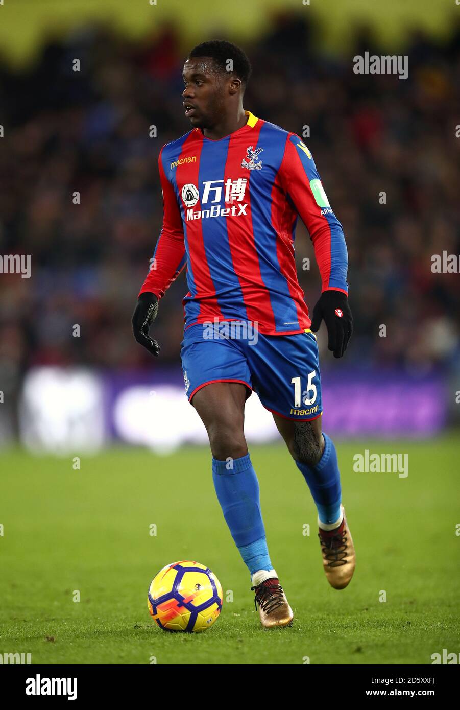 Schlupp crystal palace hi-res stock photography and images - Alamy