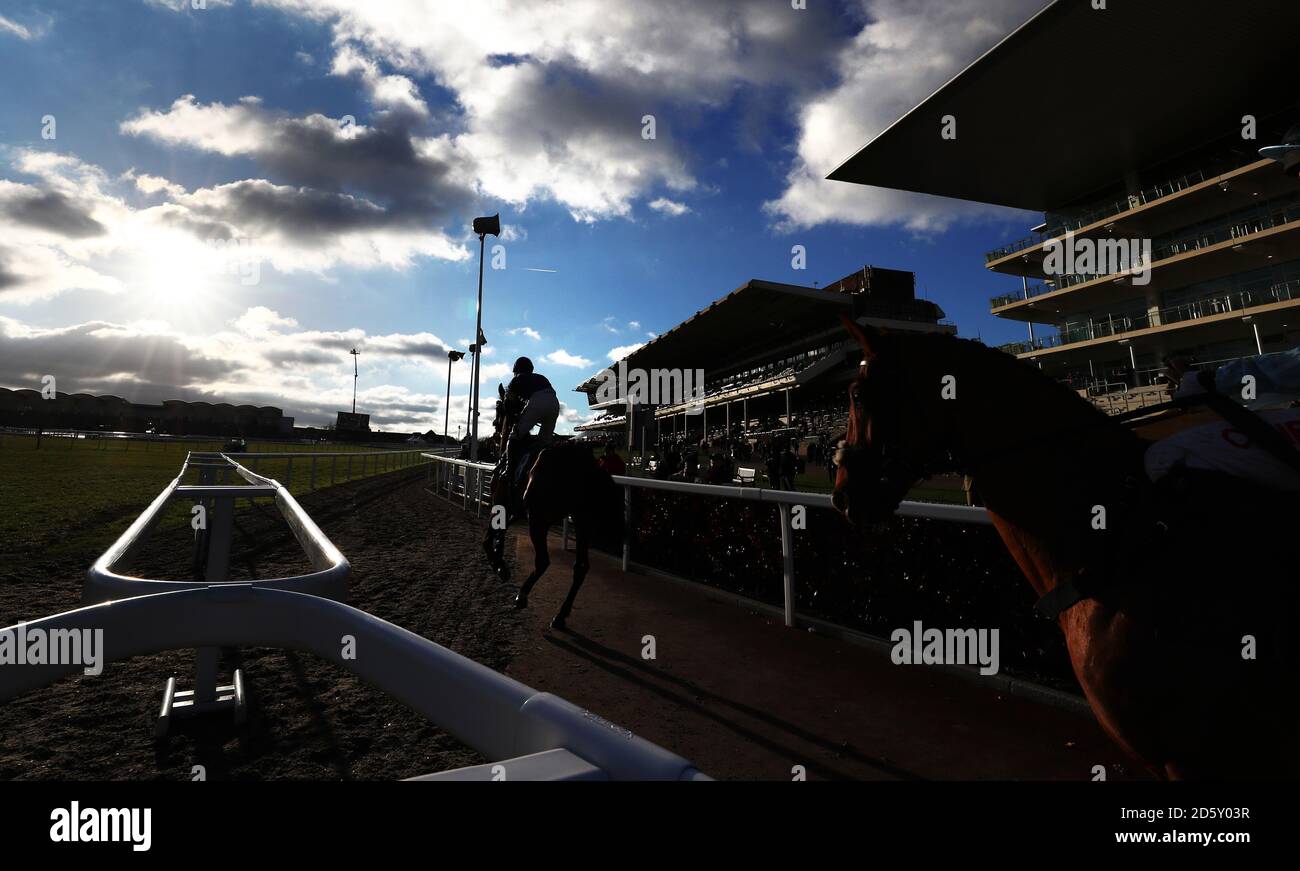 Princess royal stand hi-res stock photography and images - Alamy