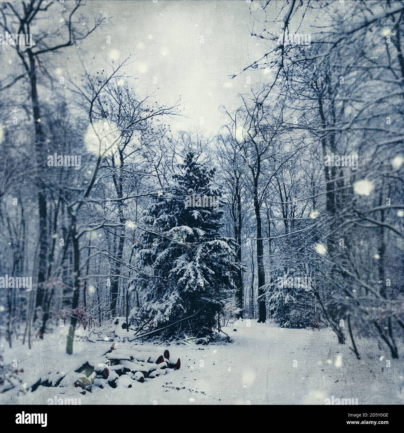 Snowy winter landscape, snow fall Stock Photo - Alamy
