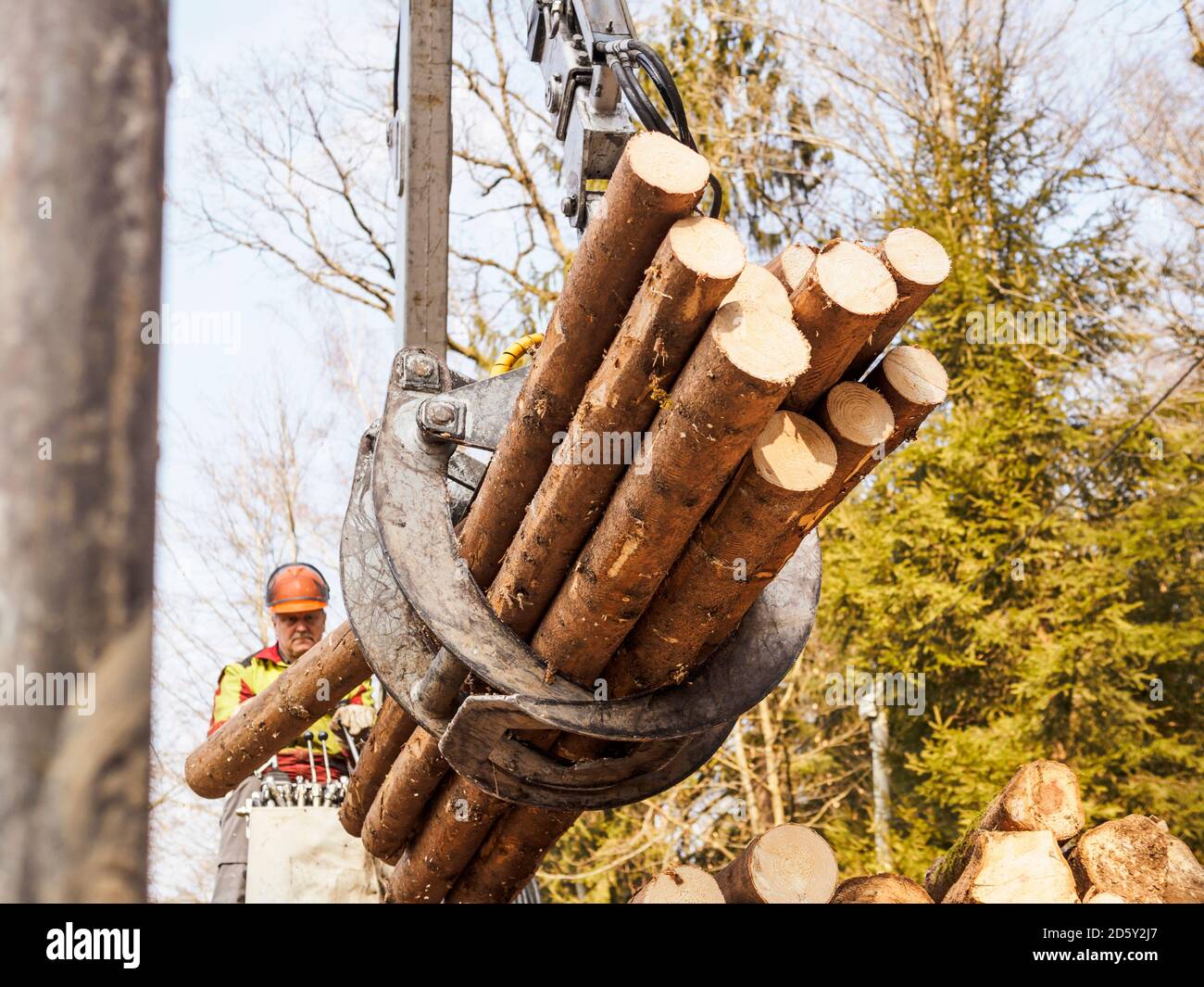 Lifting Tree Trunks High Resolution Stock Photography and Images - Alamy