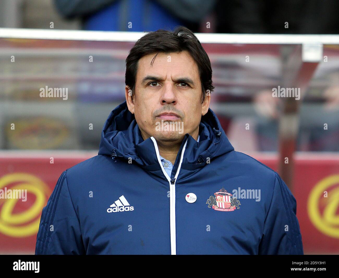 Sunderland manager Chris Coleman Stock Photo - Alamy