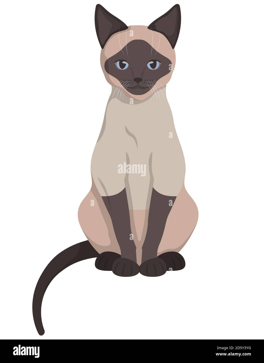 Sitting Siamese cat. Beautiful pet in cartoon style Stock Vector Image ...