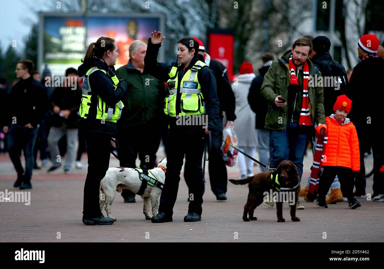 Security with search dogs on duty outside the ground Stock Photo - Alamy