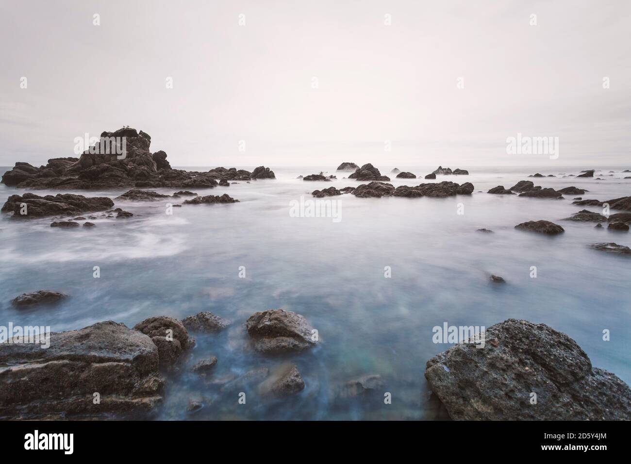 New Zealand, South Island, West Coast, Jackson Bay Stock Photo - Alamy