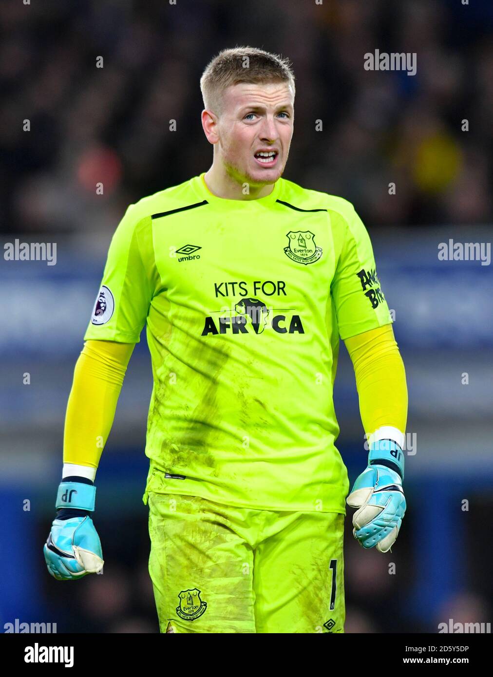 Everton goalkeeper Jordan Pickford Stock Photo - Alamy