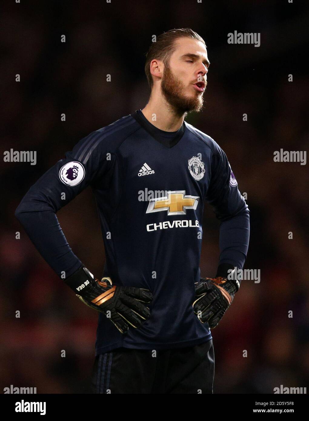 Manchester United goalkeeper David De Gea Stock Photo - Alamy