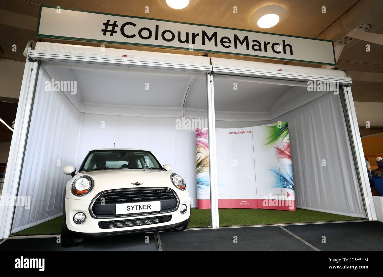 Mini One prize on show during the New Year's Day meeting at Cheltenham ...