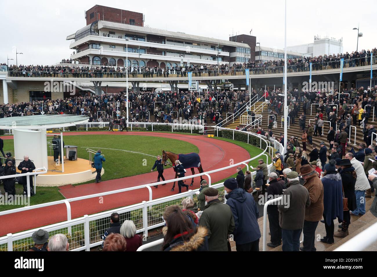 Horses are led around the parade ring prior to the Ballymore Novices ...