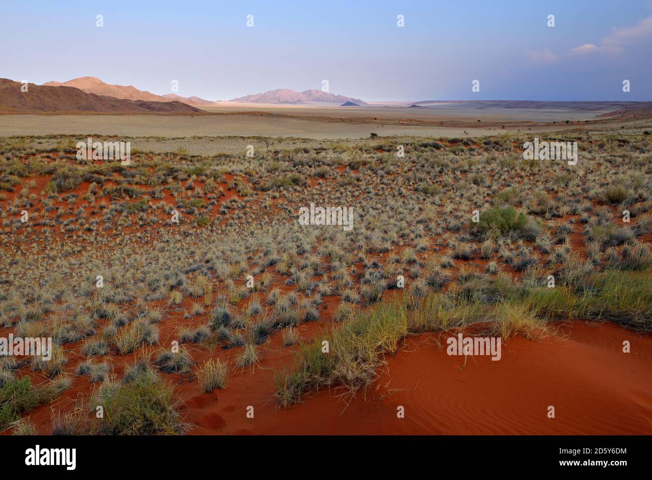 Africa, Namibia, NamibRand Nature Reserve Stock Photo - Alamy