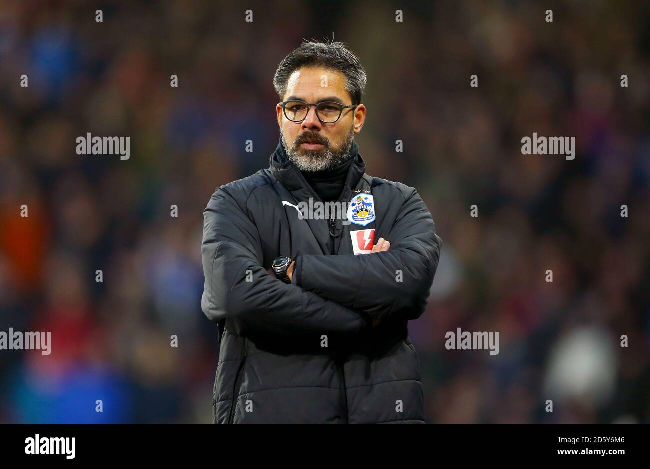Huddersfield Town manager David Wagner Stock Photo - Alamy