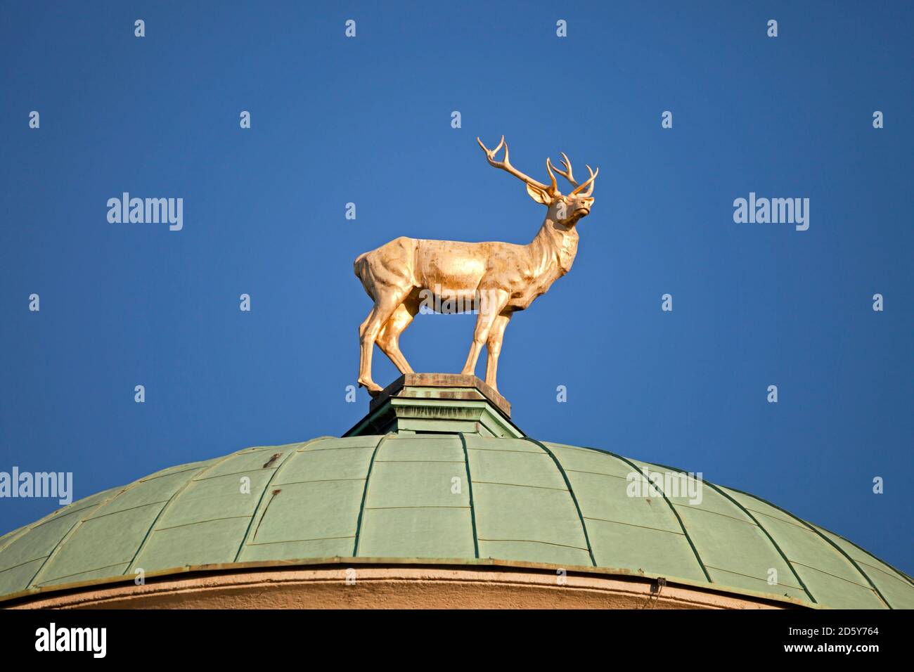 Dome figure hi-res stock photography and images - Alamy