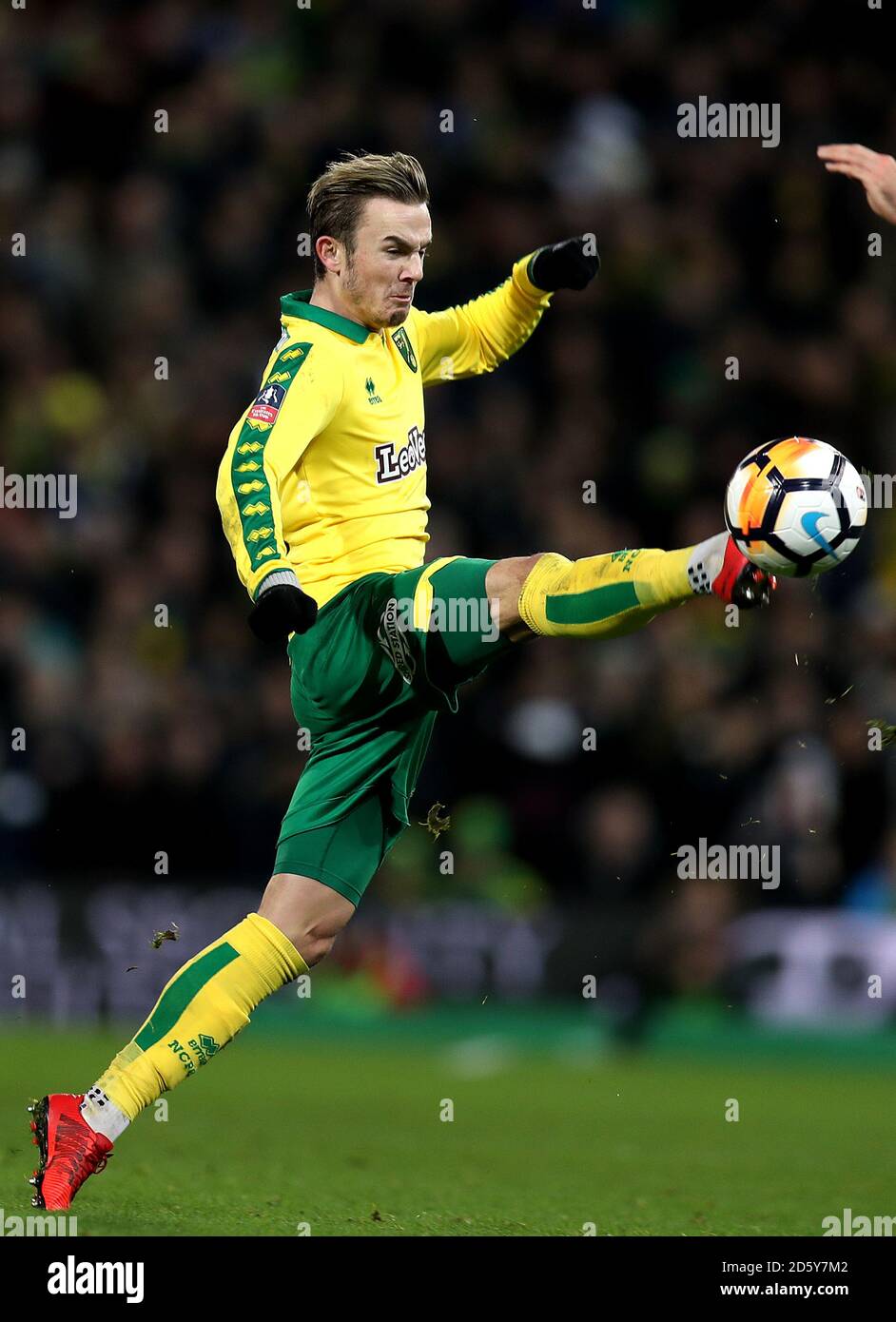 Norwich City's James Maddison Stock Photo - Alamy