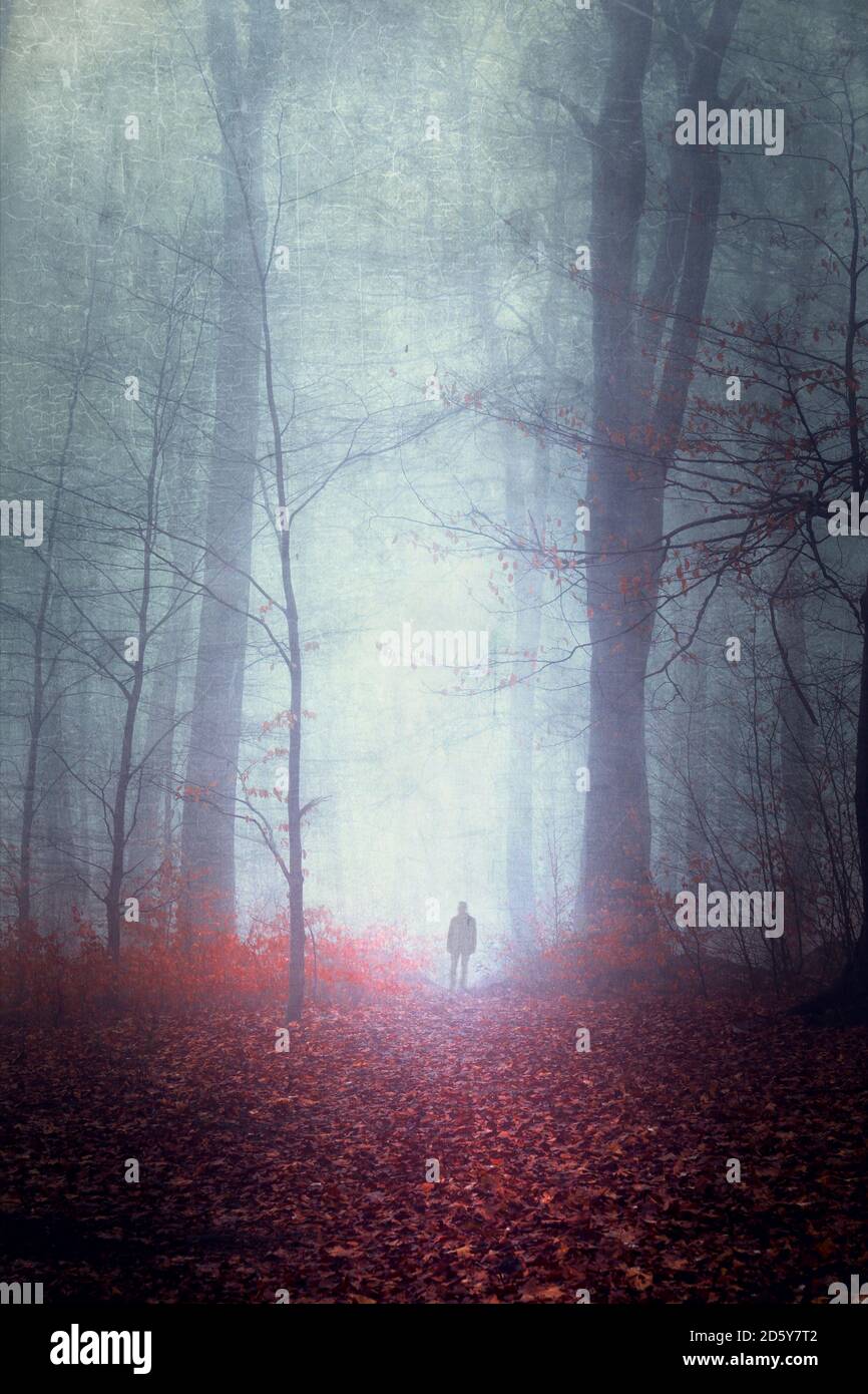 Man walking into forest hi-res stock photography and images - Alamy