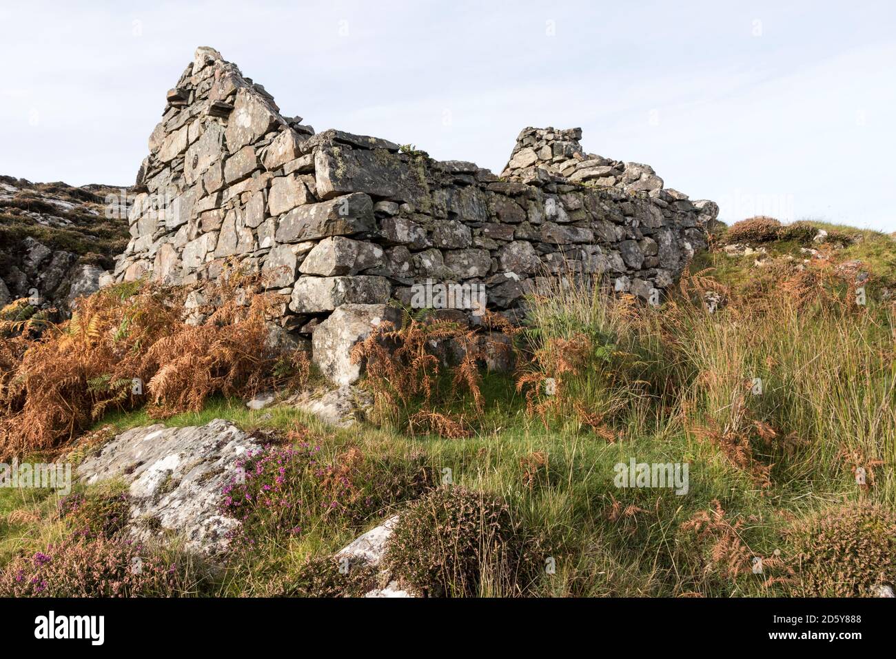 Croft scotland hi-res stock photography and images - Alamy