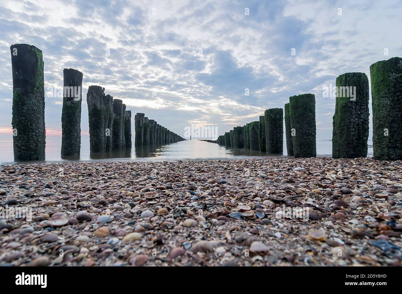 Netherlands, Domburg, breakwaters, beach with shells Stock Photo - Alamy