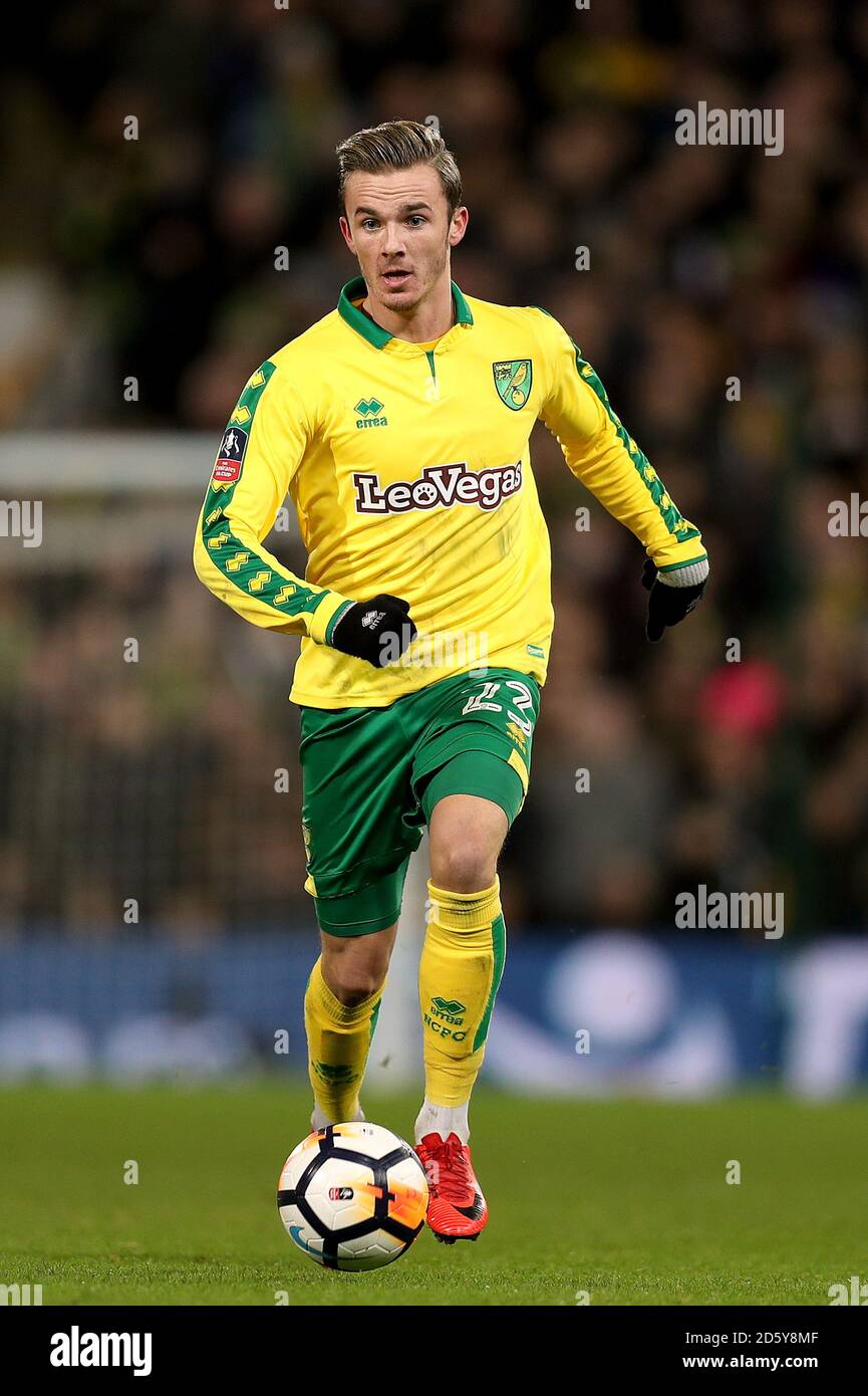 Norwich City's James Maddison Stock Photo - Alamy