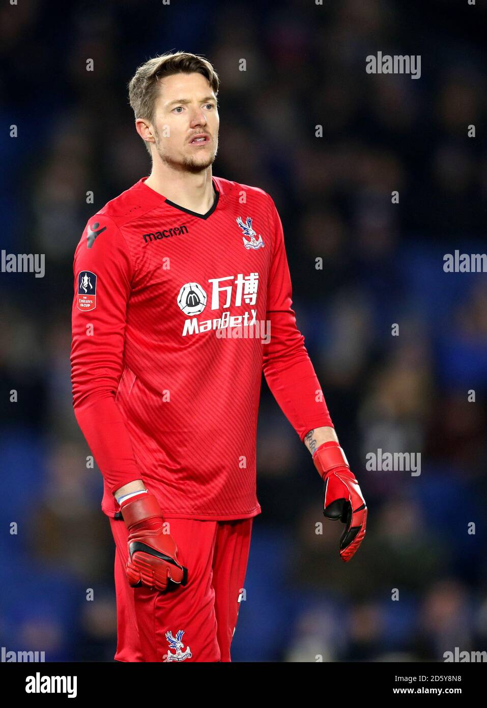 Crystal Palace goalkeeper Wayne Hennessey Stock Photo - Alamy