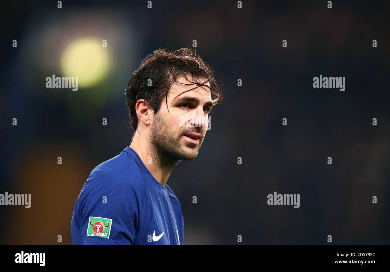 Soccer football headshot head shot portrait cesc hi-res stock ...