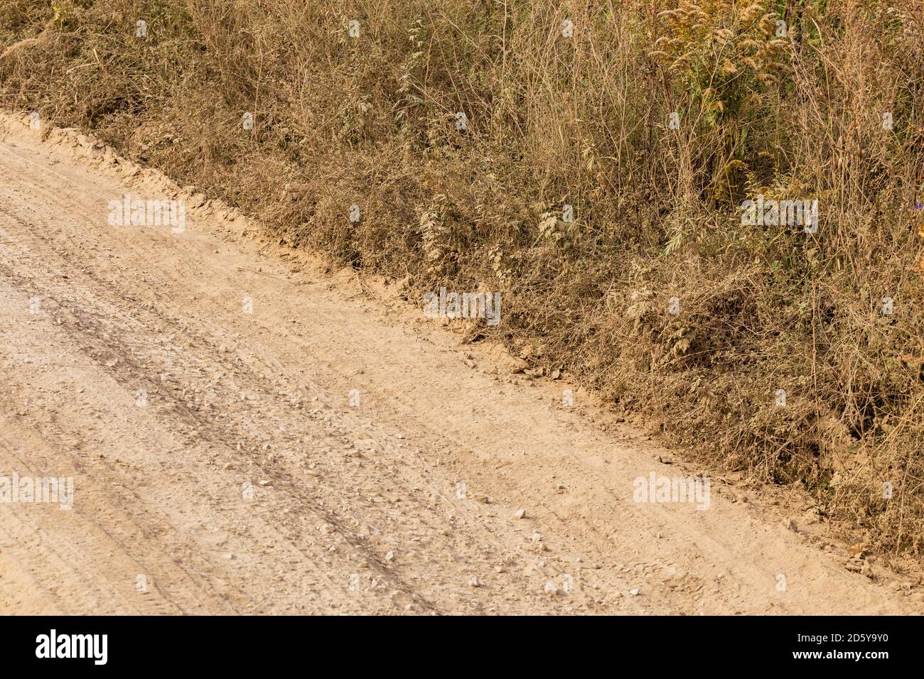 dusty dry dirt road with wild grass thickets on its side Stock Photo ...