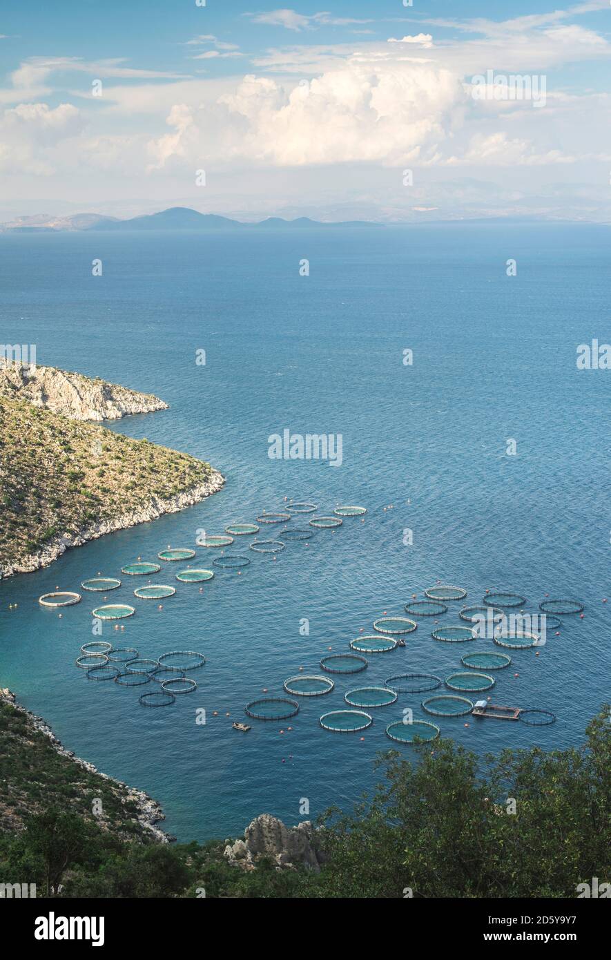 Fish farm greece hi-res stock photography and images - Alamy