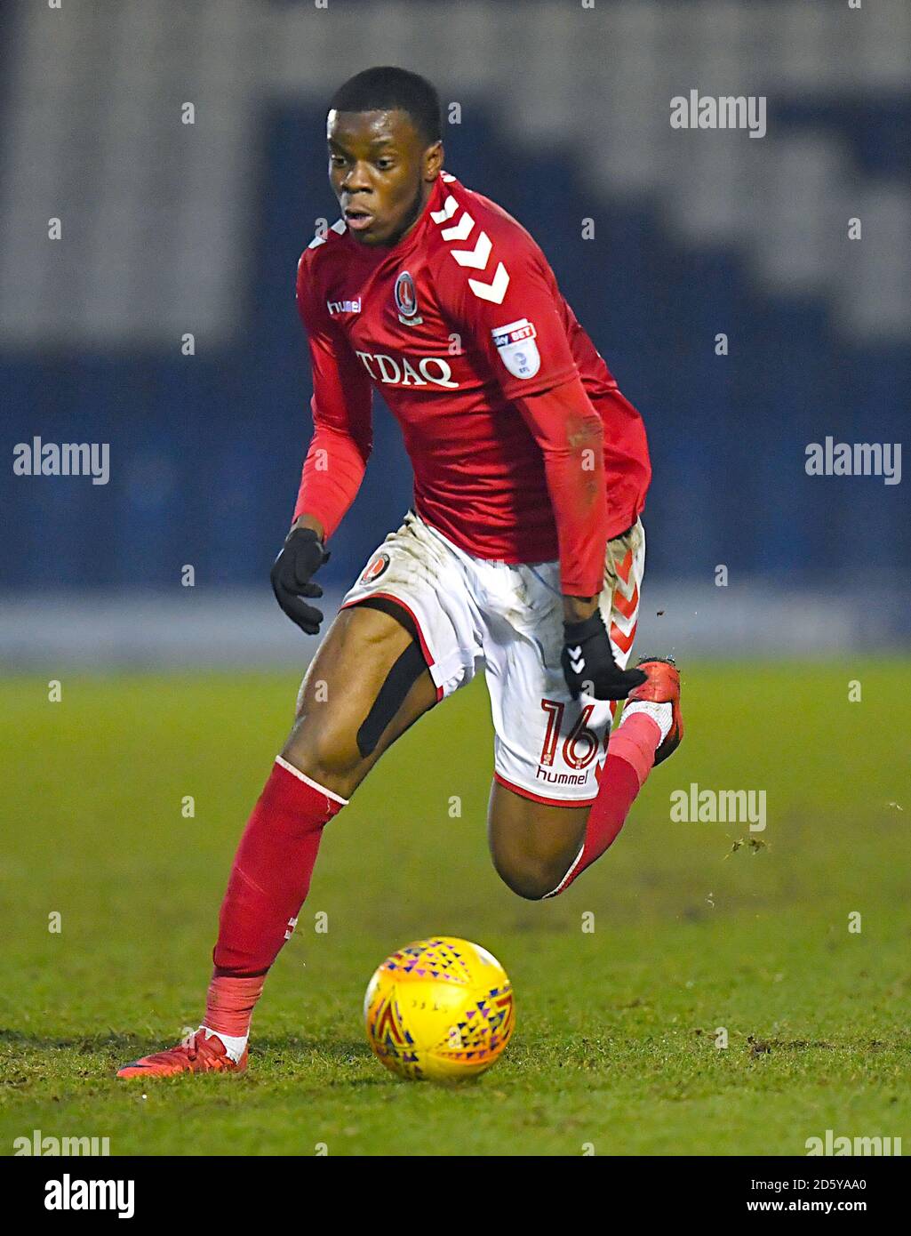 Stephy Mavididi, Charlton Athletic Stock Photo - Alamy