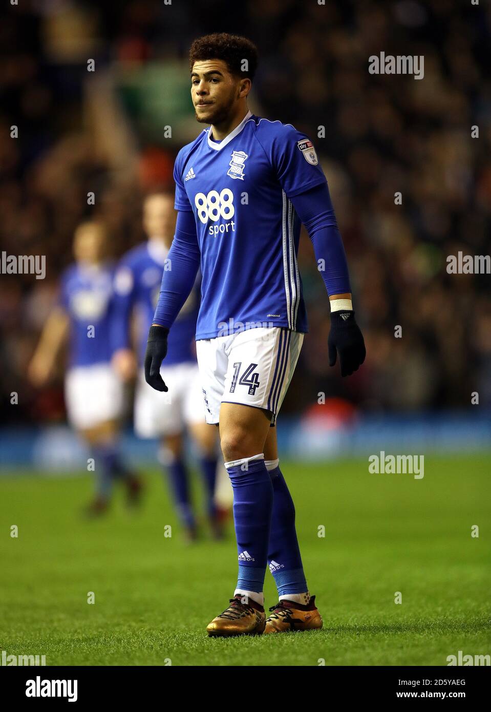 Che adams birmingham city hi-res stock photography and images - Alamy
