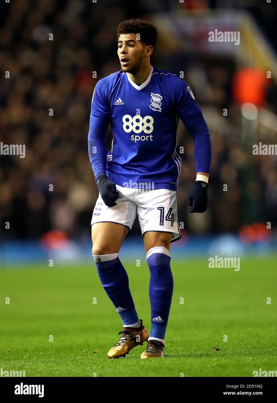 Che adams birmingham hi-res stock photography and images - Alamy