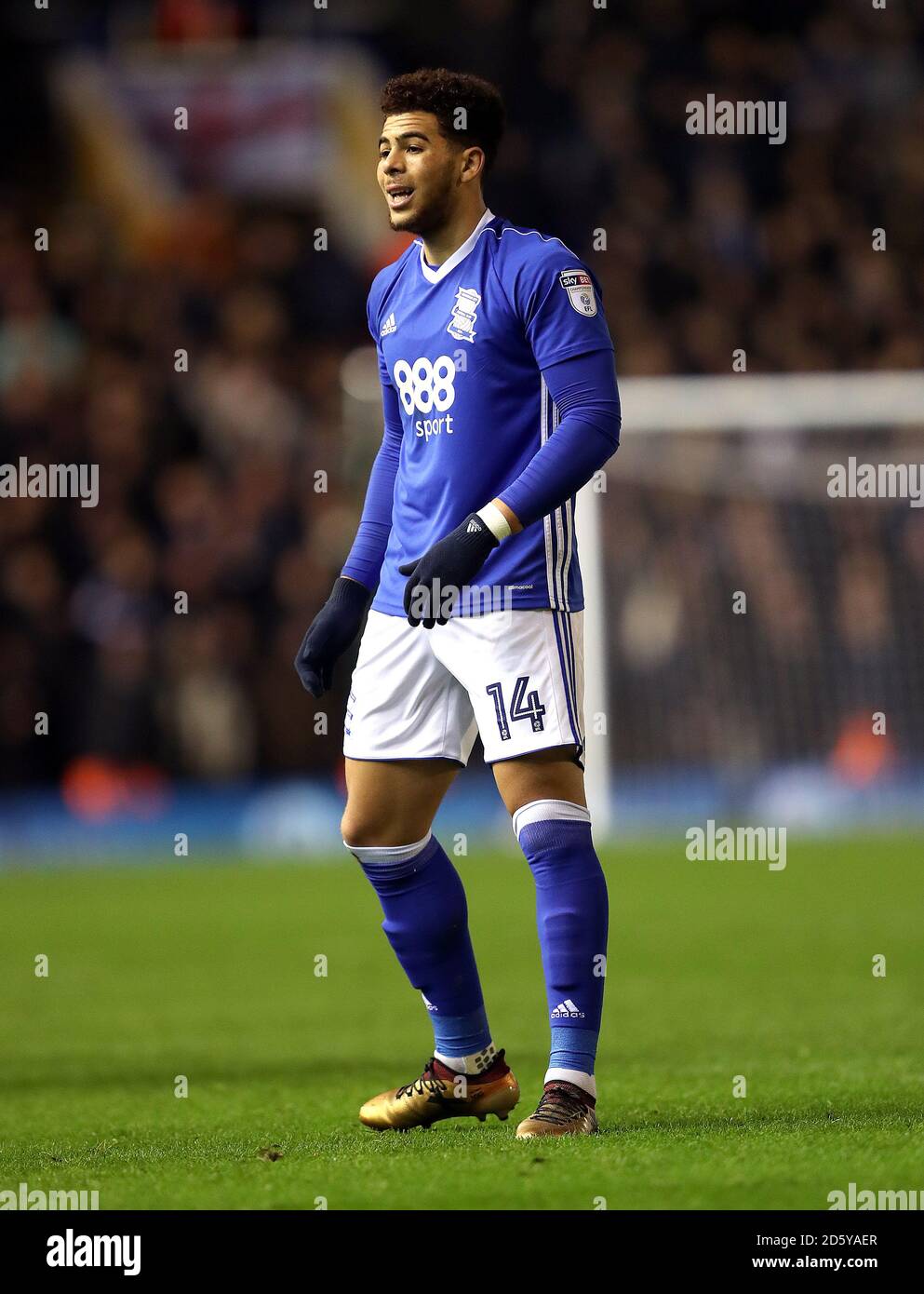 Che adams birmingham hi-res stock photography and images - Alamy