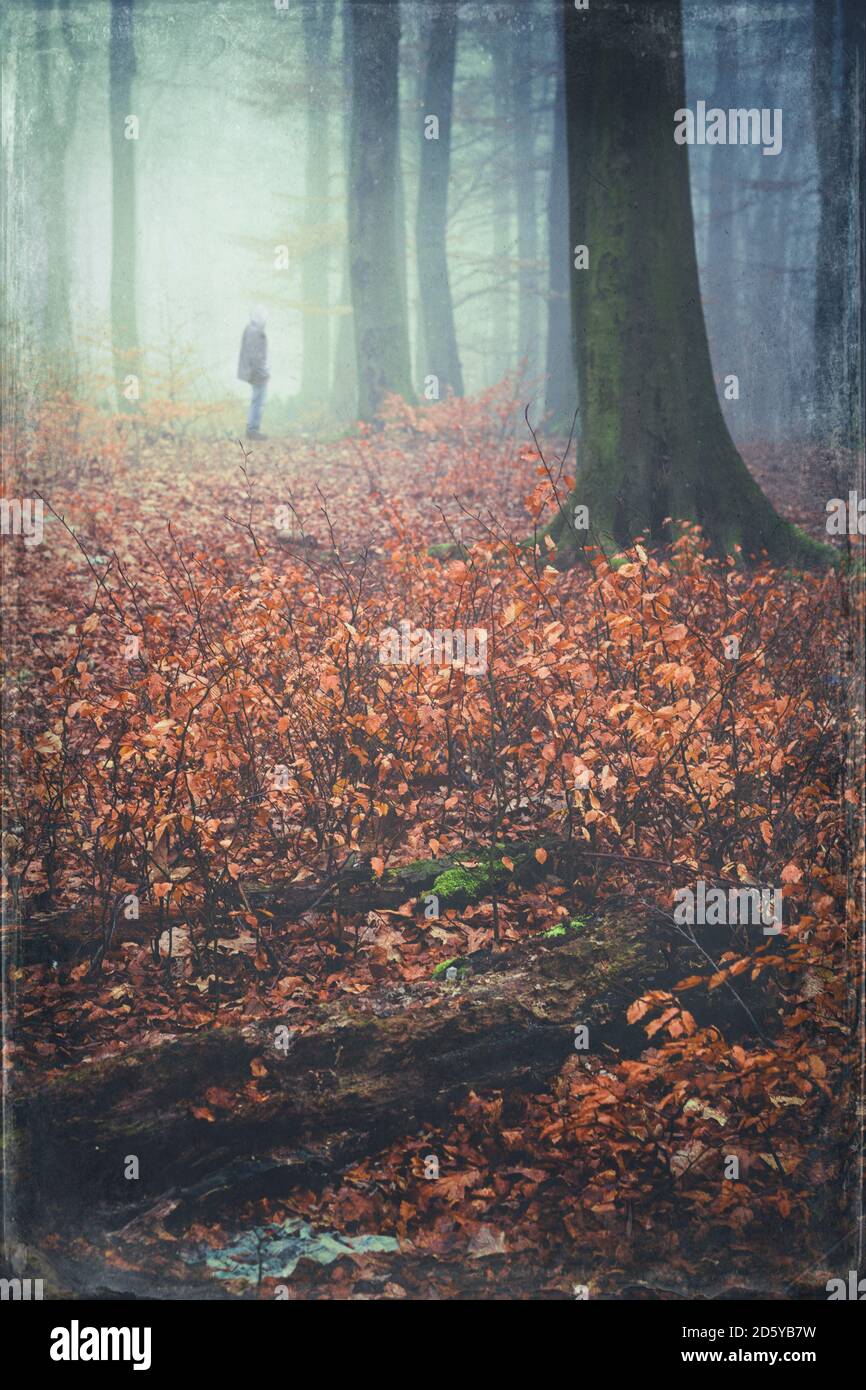 Man standing in the forest Stock Photo - Alamy