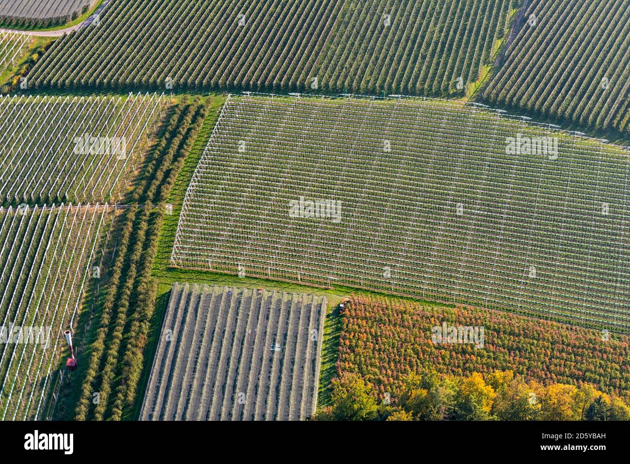 Aerial view of orchards near ailingen hi-res stock photography and ...