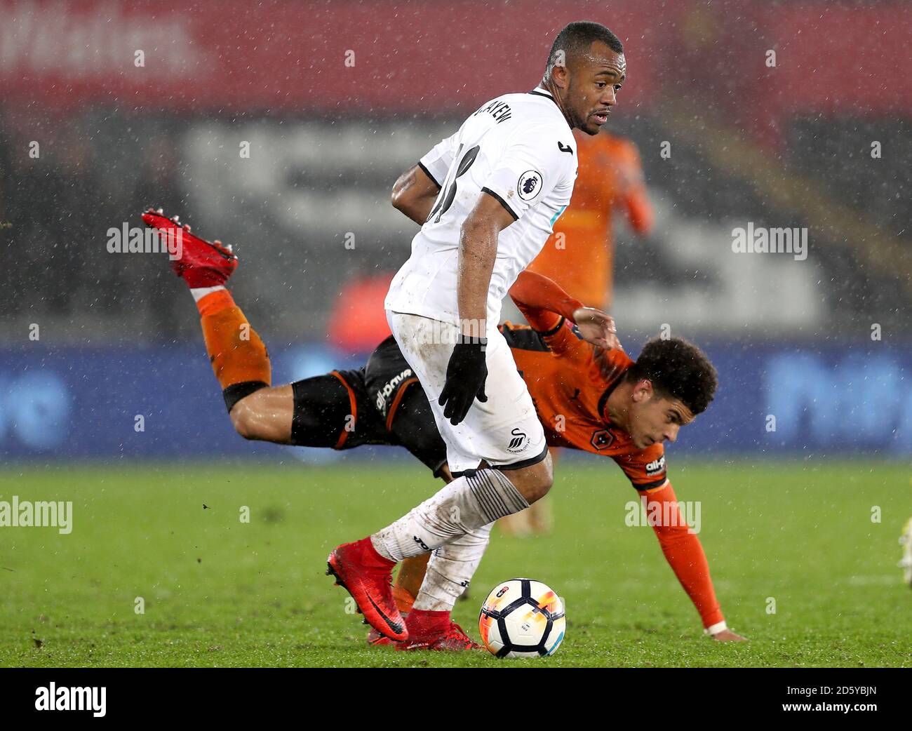 Morgan gibbs white wolves hi-res stock photography and images - Alamy