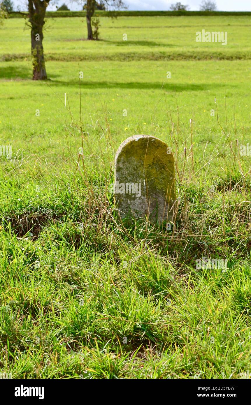 distance stone with moss in a meadow Stock Photo - Alamy