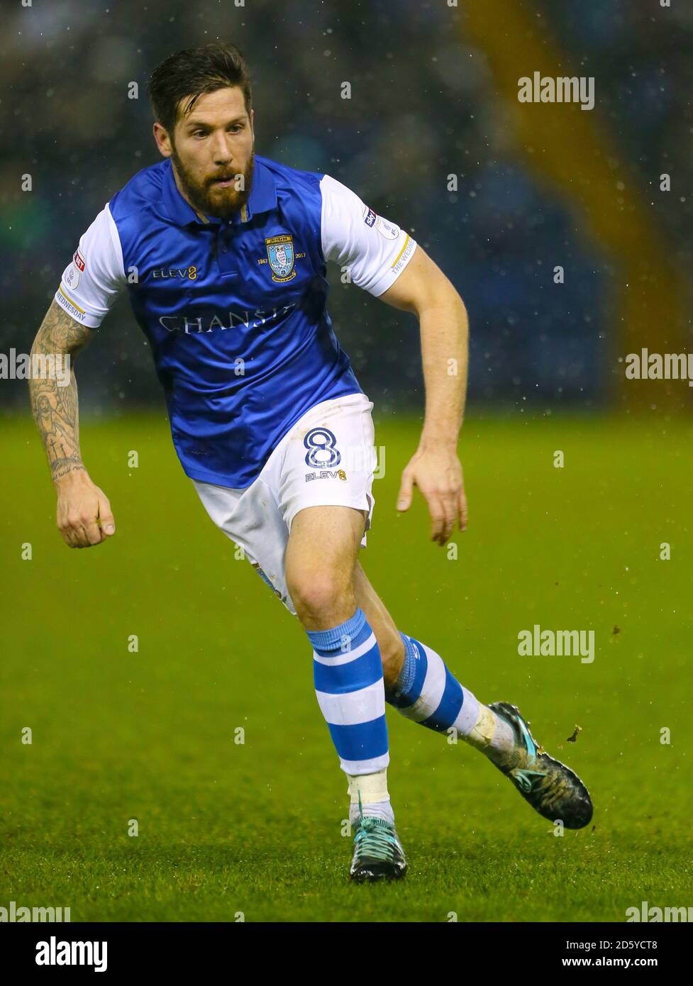 Sheffield Wednesday's Jacob Butterfield Stock Photo - Alamy