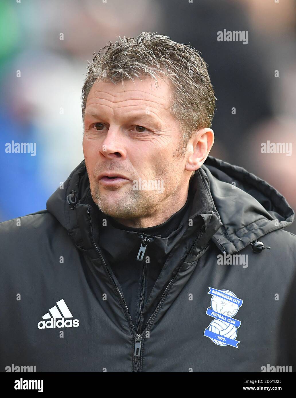 Birmingham City's Manager Steve Cotterill Stock Photo - Alamy