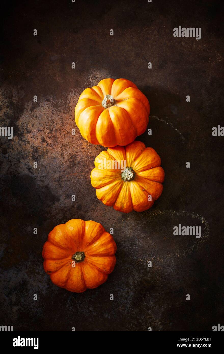 Elevated view of pumpkins hi-res stock photography and images - Alamy
