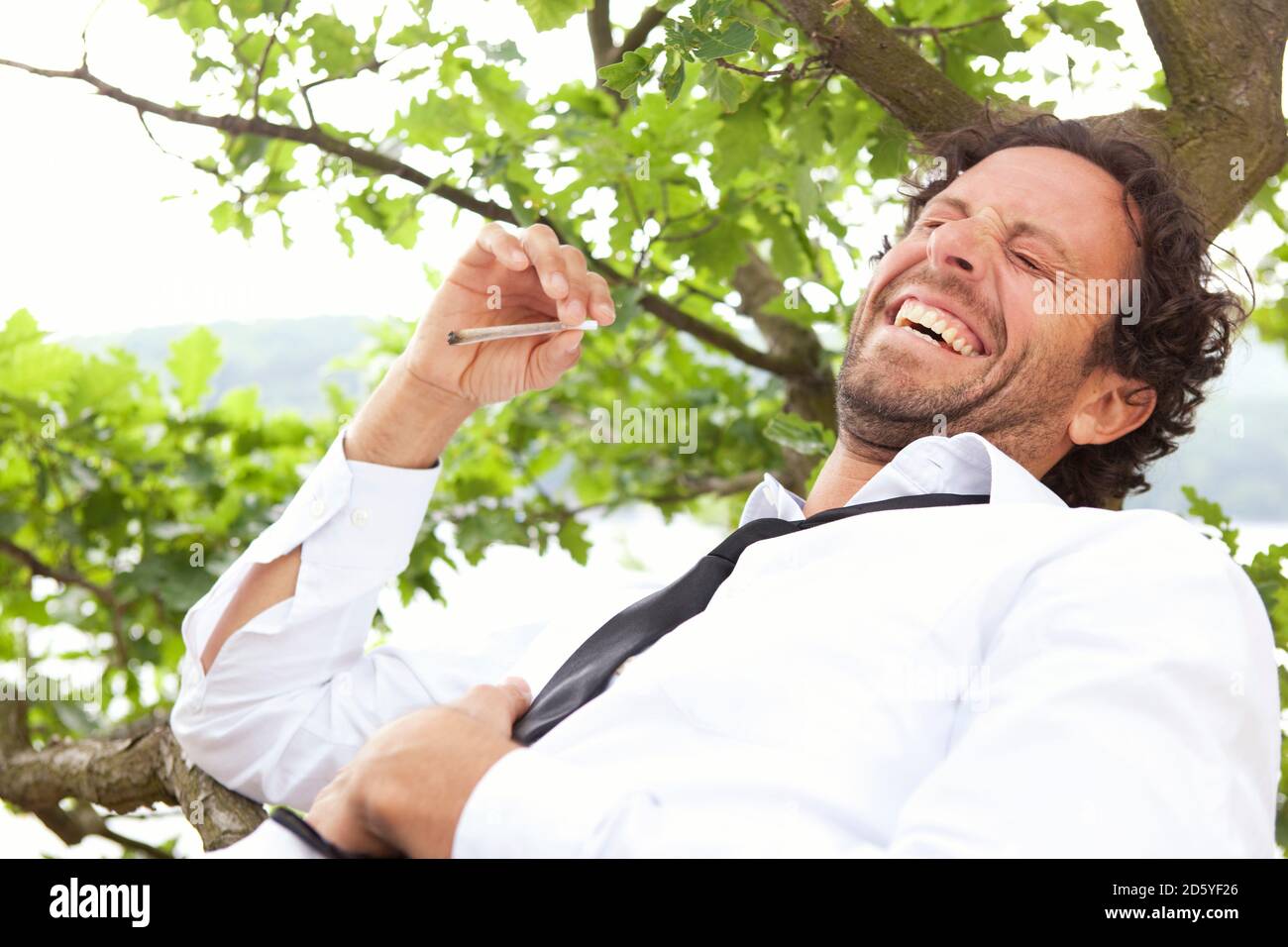Germany, relaxed businessman lying in tree smoking a joint Stock Photo ...
