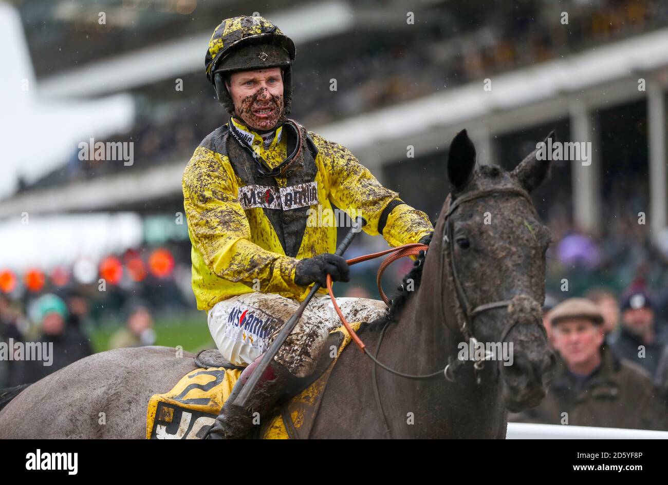 Elixir de nutz horse hi-res stock photography and images - Alamy